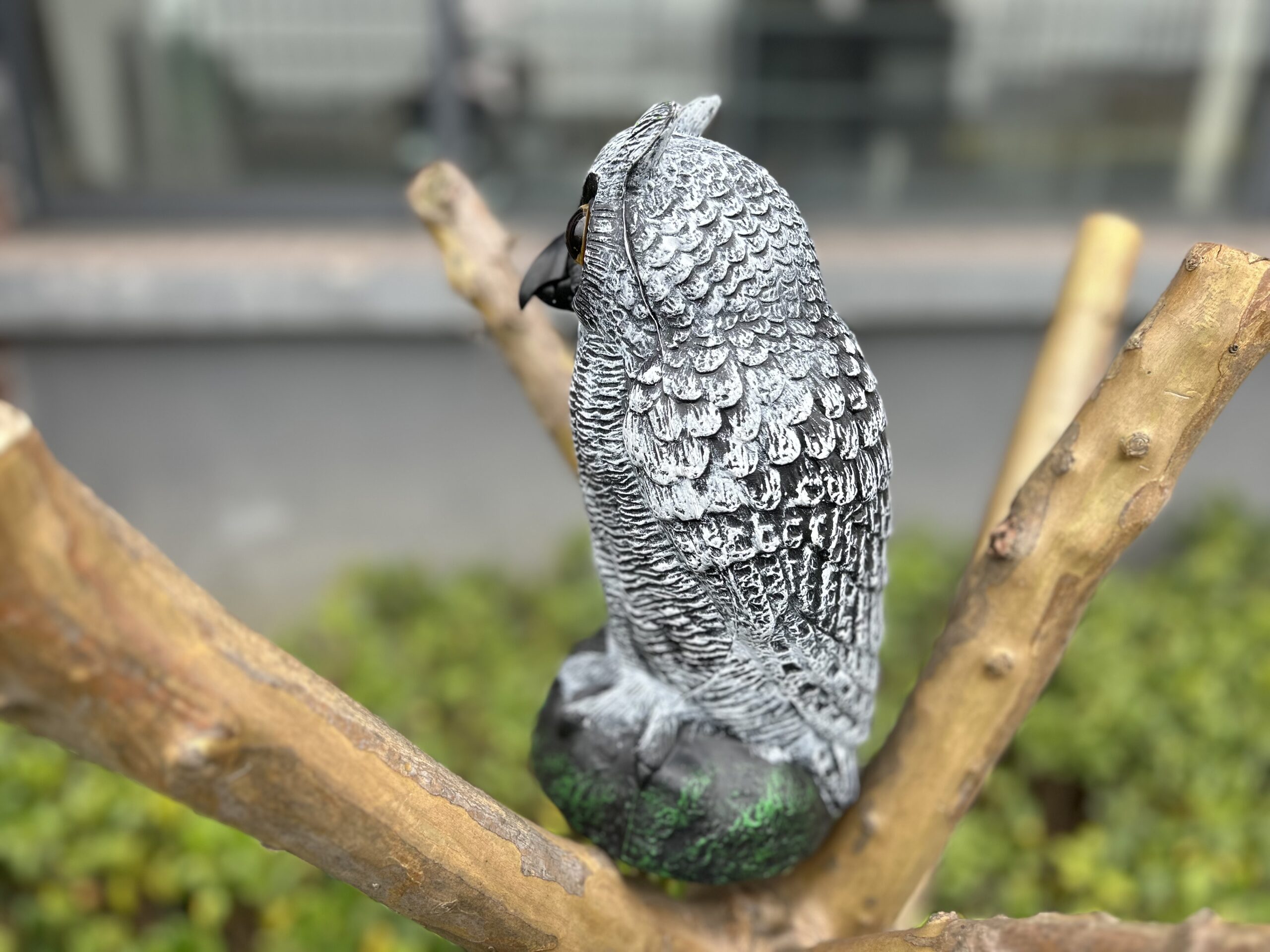 Little Owl Decoy - Garden Products B2B Supplier