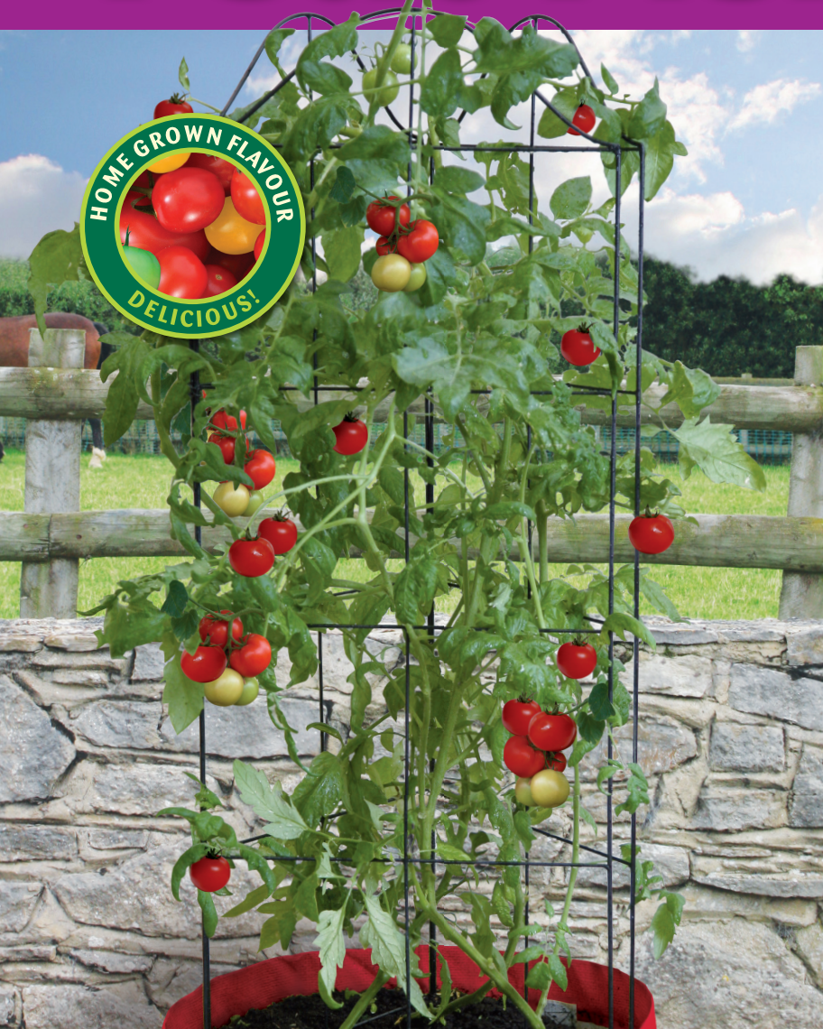 Tomato Climbing Trellis - Garden Products B2B Supplier